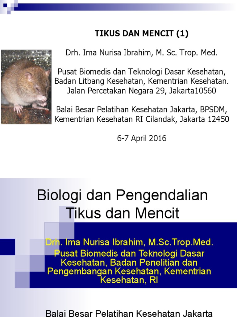 IMA-1-Klasifikasi dan Morfologi Tikus dan Mencit (1), BPLK CILANDAK 6 ...