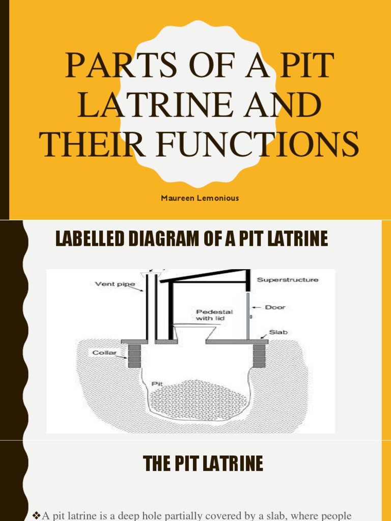 Functions and Guidelines for Pit Latrines | PDF