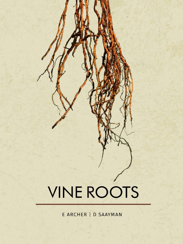 Vine Roots 1 | Download Free PDF | Root | Viticulture