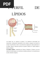 Signo del Témpano y Fabela en Rodilla | PDF | Rodilla | Pie
