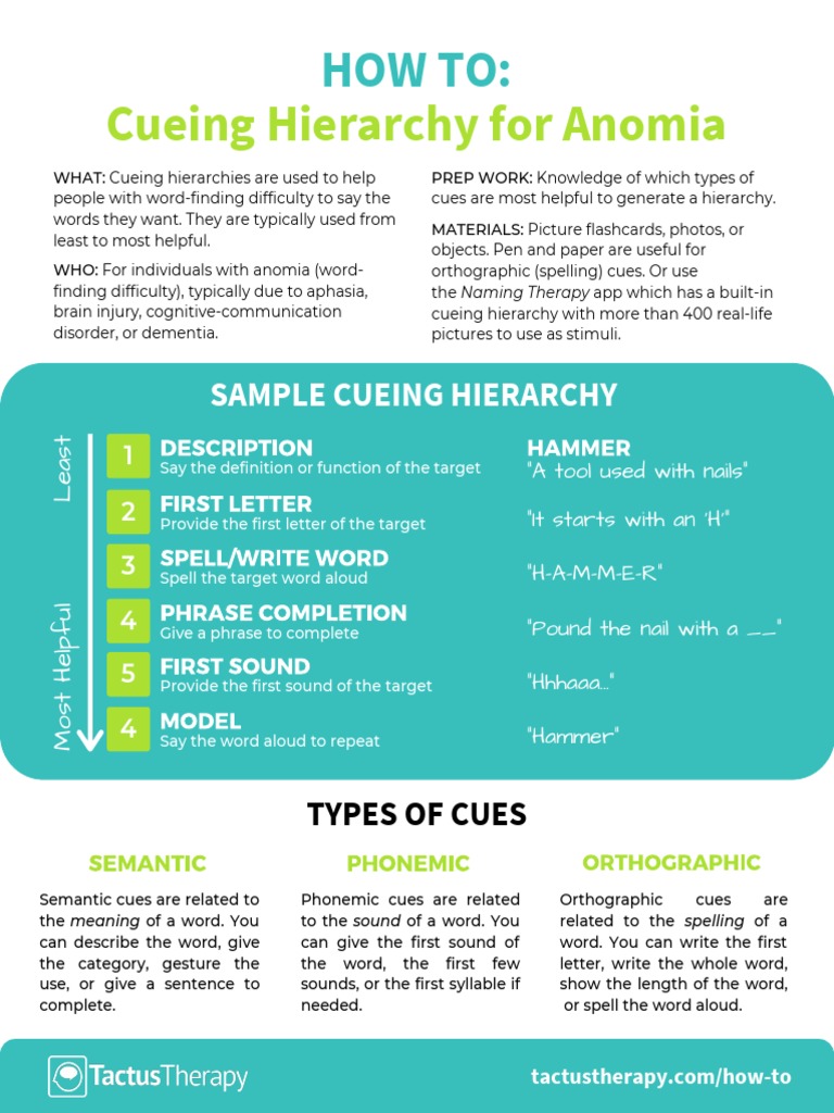 Anomia - Cueing Hierarchy (Tactus) | PDF