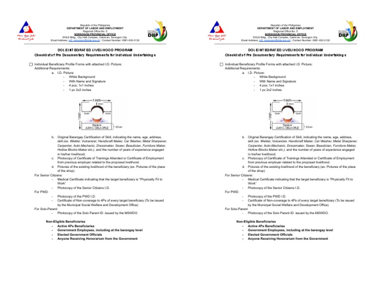 DILP Checklist - Individual | PDF | Identity Document