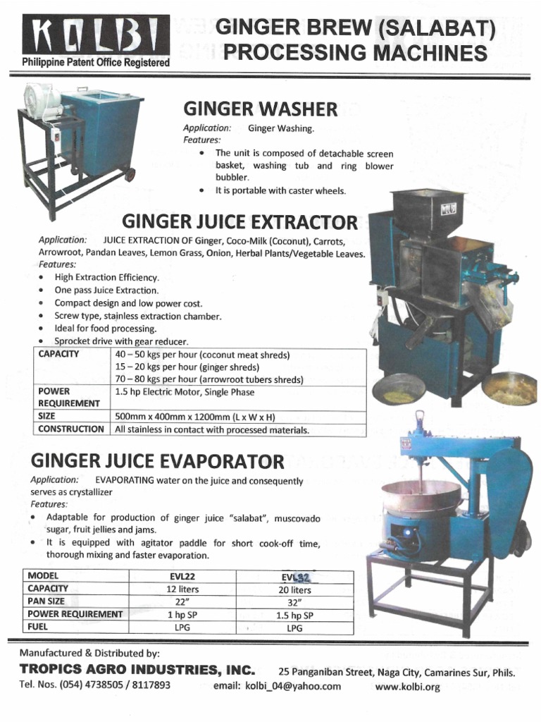 Ginger Turmeric Brochure | PDF