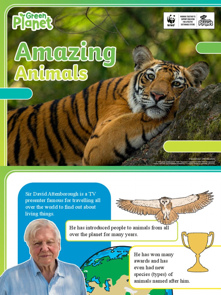 T SC 2550871 WWF Amazing Animals Powerpoint With David Attenborough Ages 5 7 1 Ver 5 | PDF ...