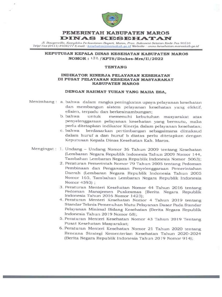 Sk Indikator Kinerja Pelayanan Kesehatan Pdf