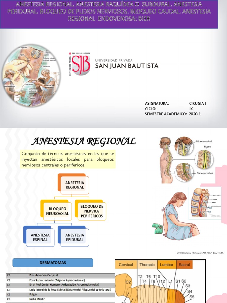 Anestesia Regional: Técnicas y Complicaciones | PDF | Medicina CLINICA ...