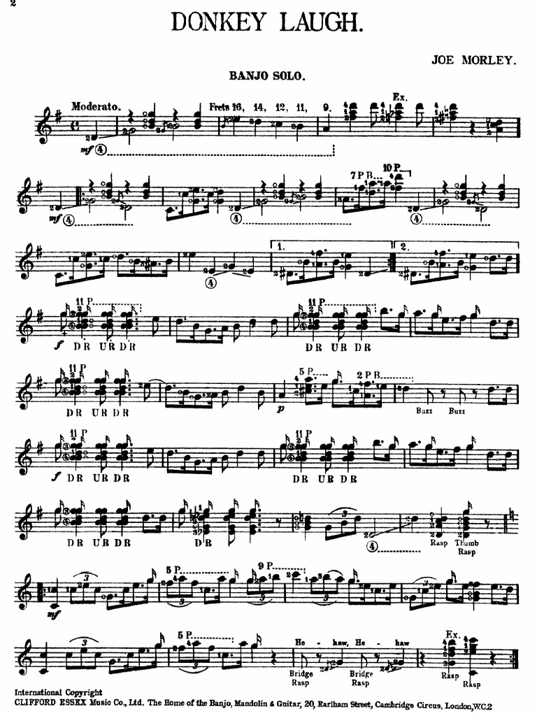 Joe Morley Donkey Laugh | PDF