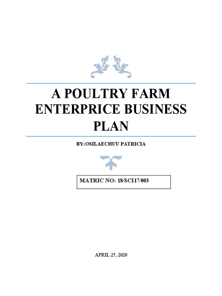 1595515228a Poultry Enterprice Business Plan | PDF | Poultry | Poultry ...