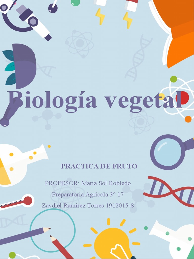 Practica de Fruto. Zavdiel Ramírez | PDF | Fruta | Técnicas hortícolas