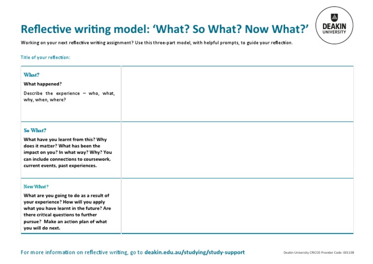 Reflective Writing Model What So What Now What | PDF