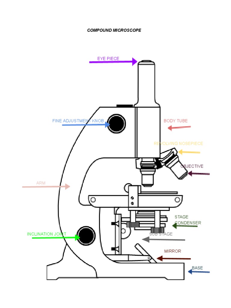 Compound Microscope | PDF