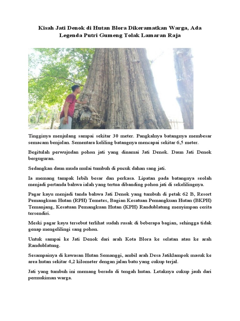 Legenda Jati Denok di Blora | PDF