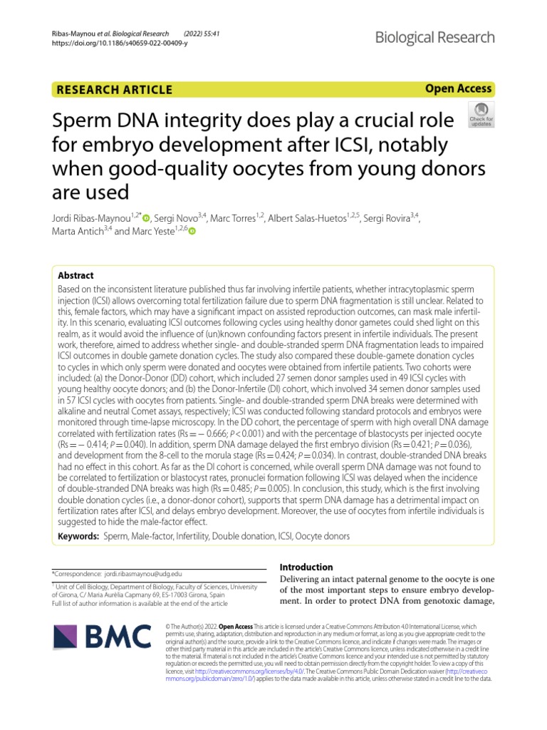 Sperm DNA Integrity Does Play A Crucial Role For Embryo Development ...