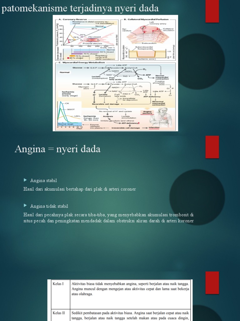 patomekanisme terjadinya nyeri dada. | PDF