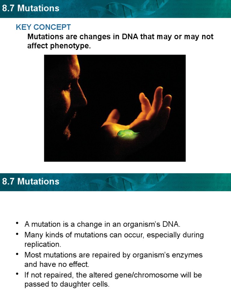 Mutation | PDF | Mutation | Gene