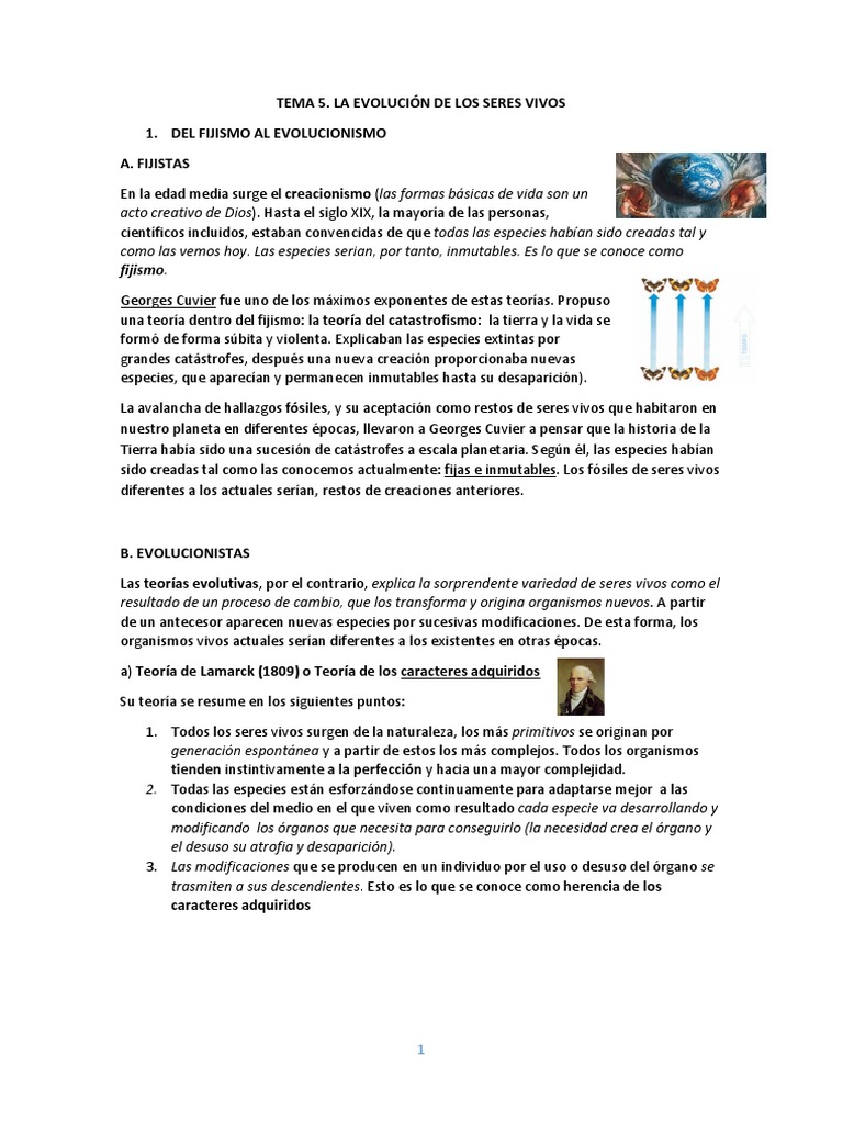 TEMA 5 TEORÍAS EVOLUTIVAS Apuntes 2022-2023-1 | PDF | Seleccion natural ... TEMA 5 TEORÍAS EVOLUTIVAS Apuntes 2022-2023-1 | PDF | Seleccion natural ...