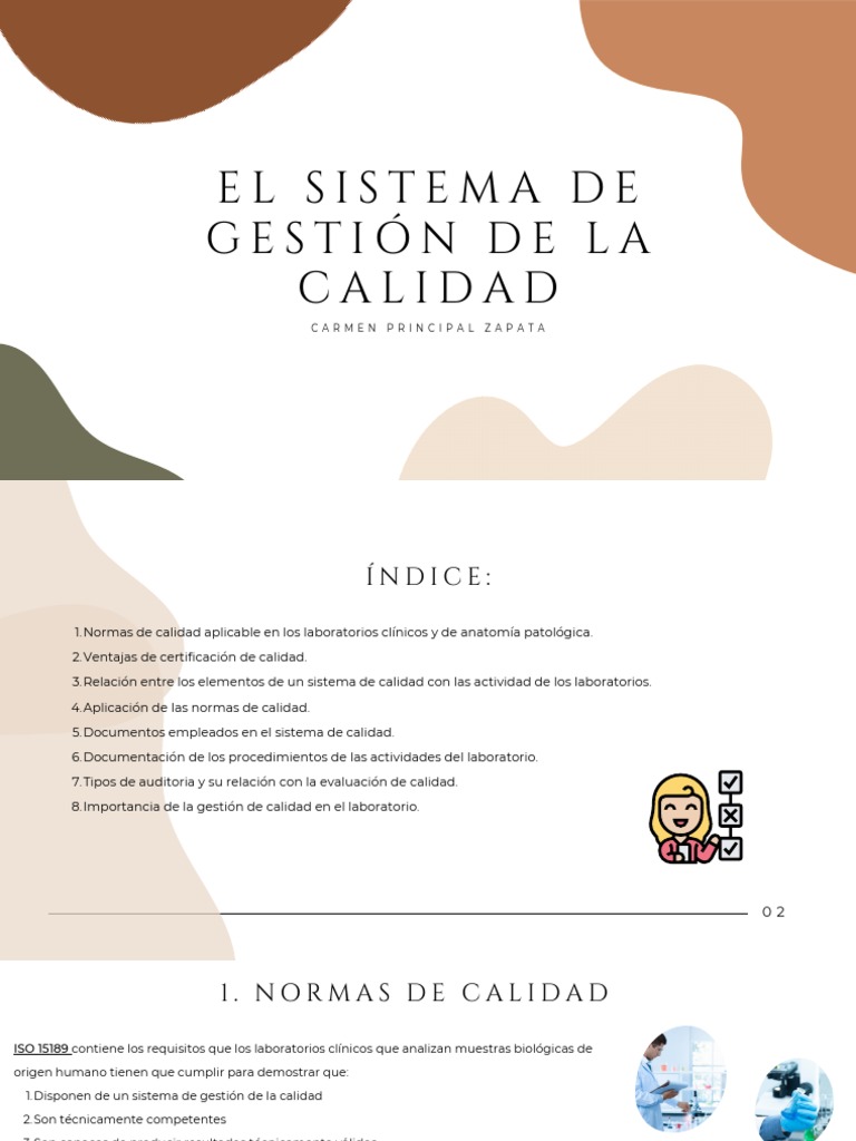 EL Sistema de Gestión de La Calidad-1 | PDF | Calidad (comercial) | Sistema de manejo de calidad