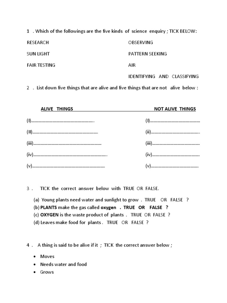 Science Questions Year 3 | PDF