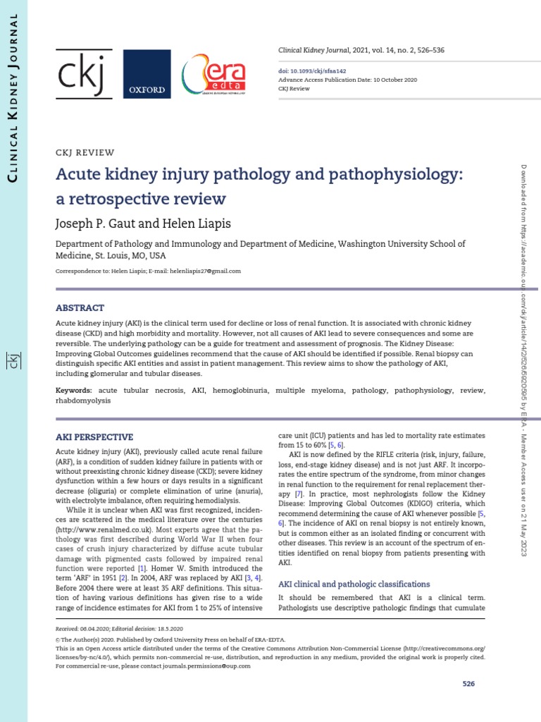 Acute Kidney Injury Pathology and Pathophysiology | PDF | Kidney ...