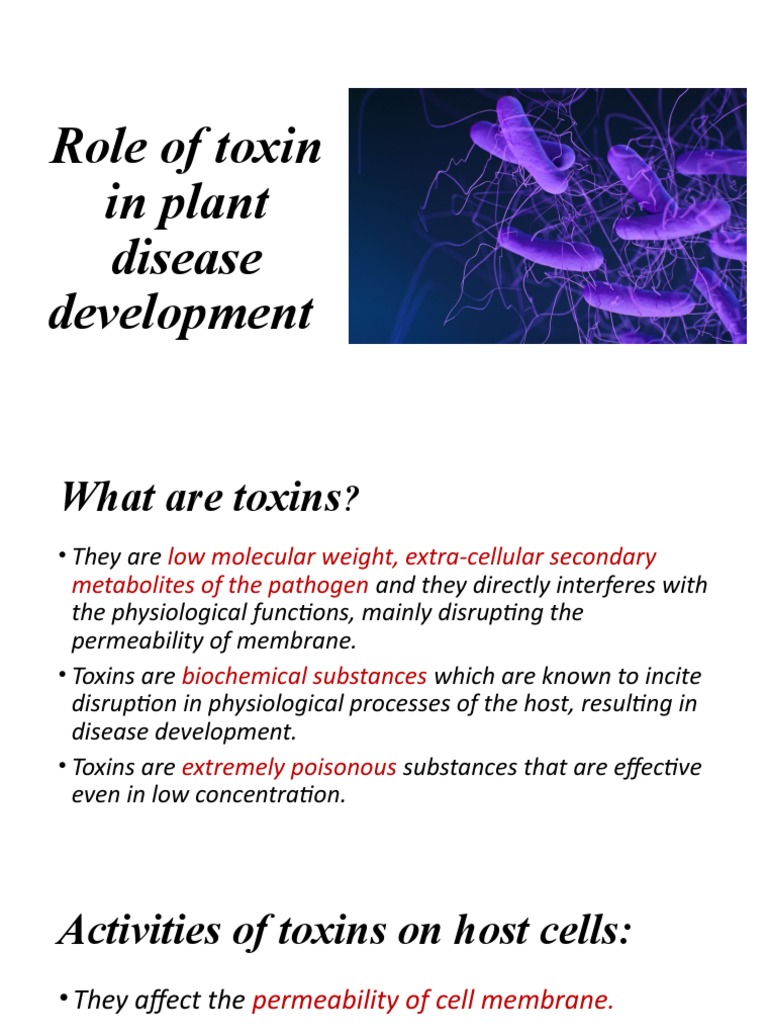 Toxins in Plant Disease Development | PDF | Cell Biology | Medical ...