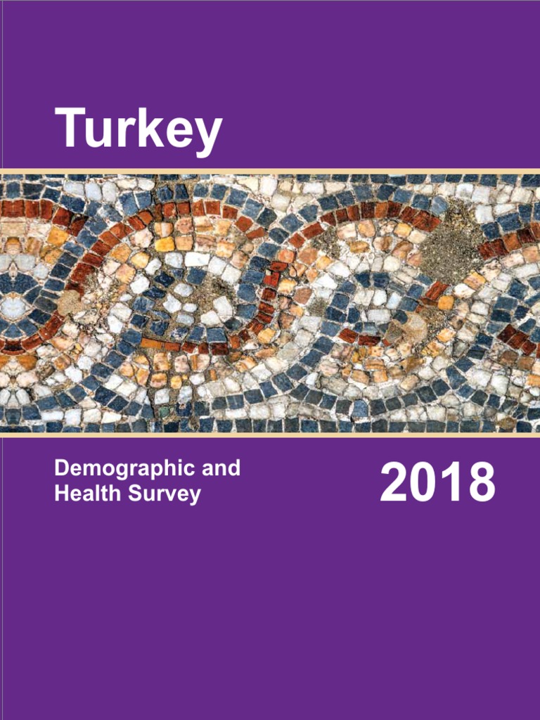 2018 Turkey Demographic Health Survey | PDF | Family Planning | Birth ...