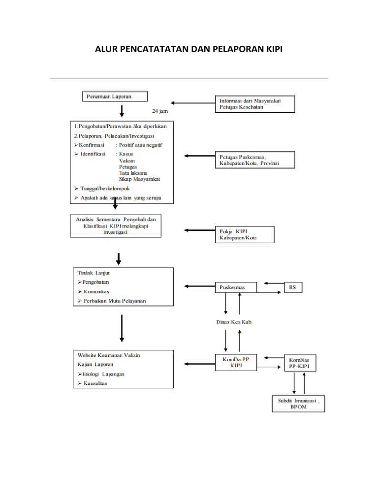 Alur Pencatatatan Dan Pelaporan Kipi | PDF