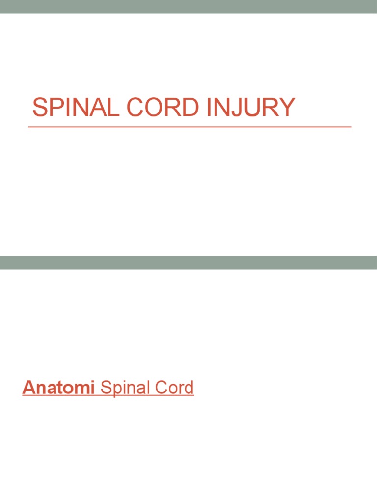 Spinal Cord Injury | PDF