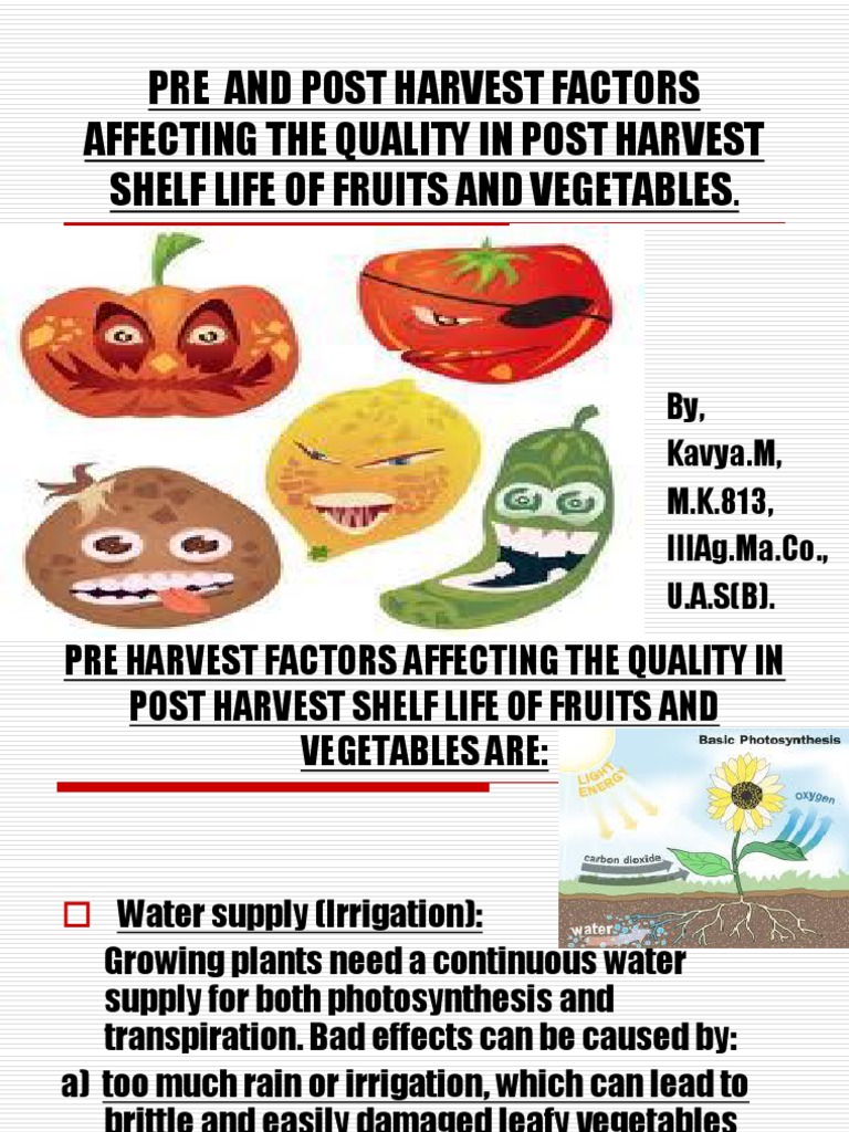 Pre and Post Harvest Factors Affecting The Quality | PDF | Vegetables ...