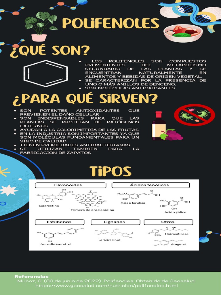 Polifenoles: Beneficios y Alimentos | PDF