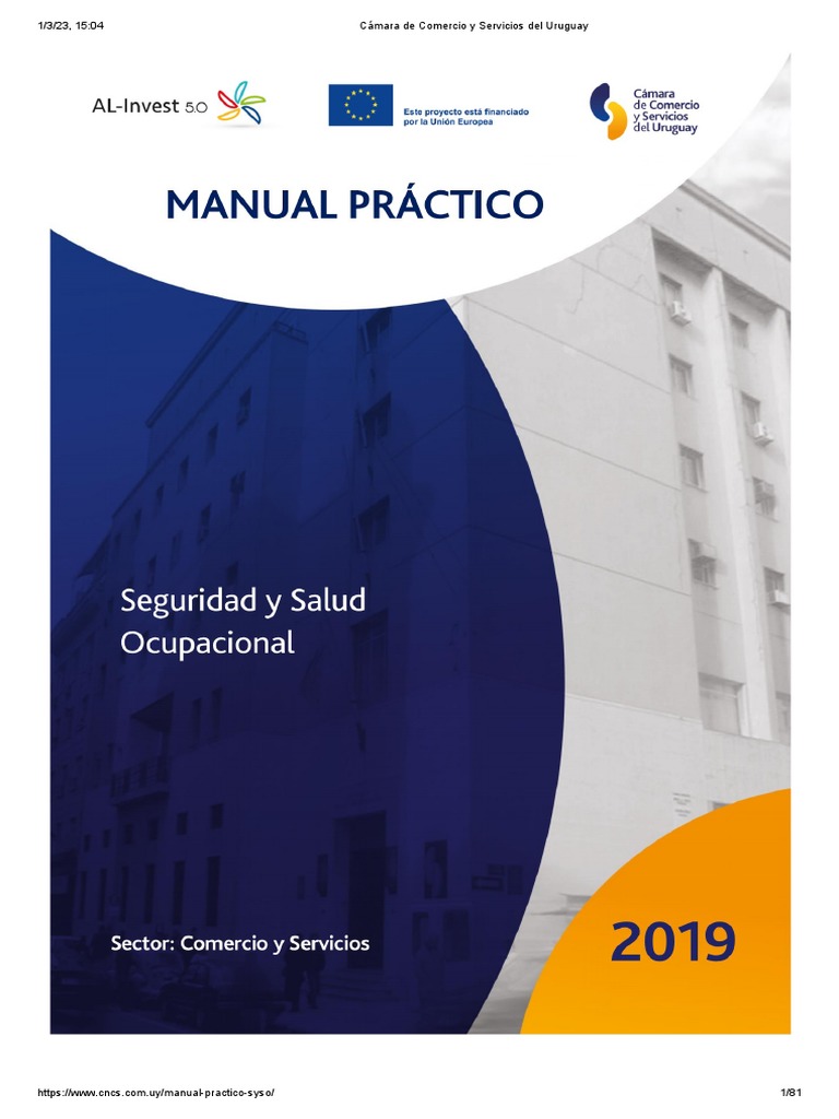 Manual Práctico de SYSO en Uruguay | PDF | Tecnología