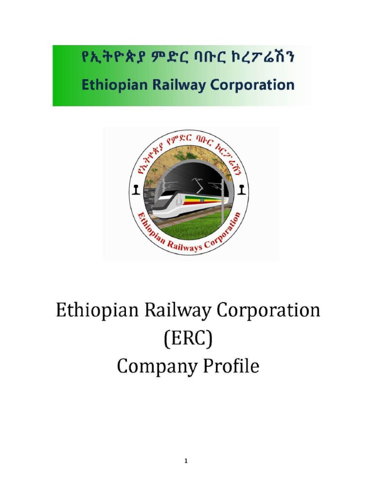 Erc Brief Profile Lappset 19.06.17 | PDF | Rail Transport | Ethiopia