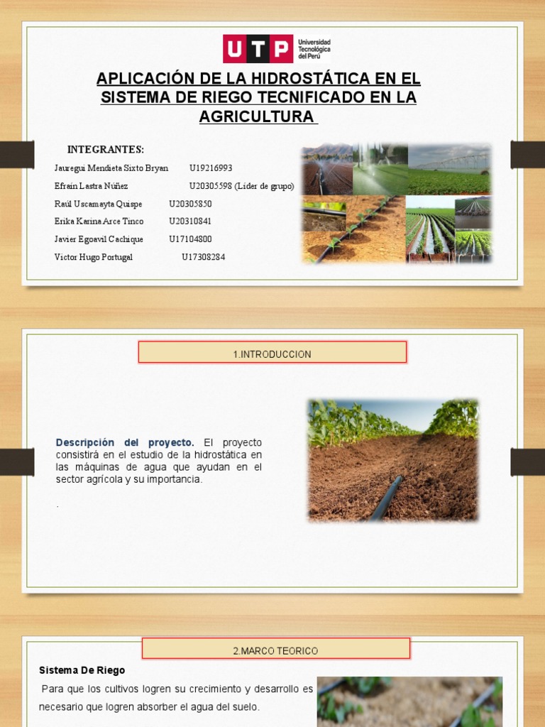Proyecto Final - (Caf 3) | PDF | Riego | Agua