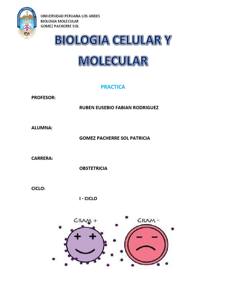 Diferencias Bacterias Gram+ y Gram- | PDF | Hogar, jardinería y ...