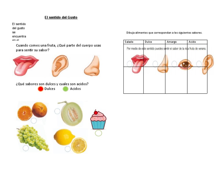 Guia Del Sentido Del Gusto | PDF