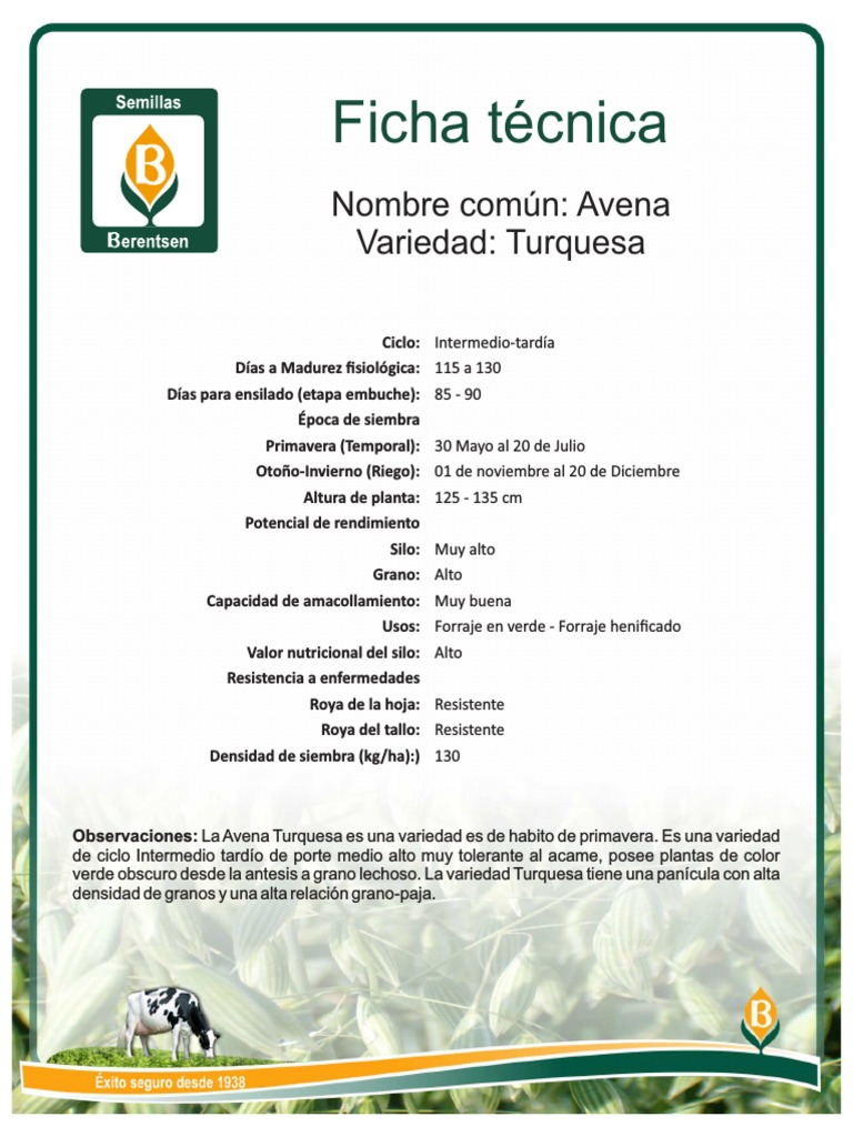 Ficha Turquesa | PDF