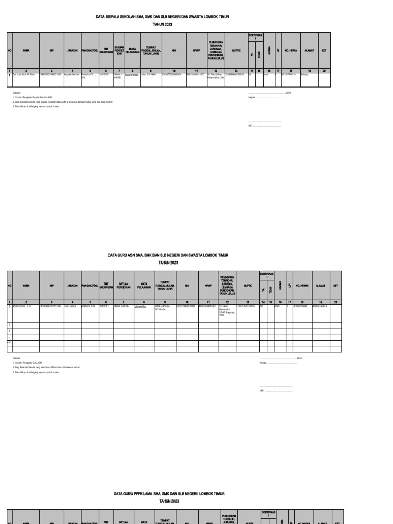 Format Pendataaan Asn Dan Non Asn Sma, SMK Dan SLB Negeri - Swasta | PDF