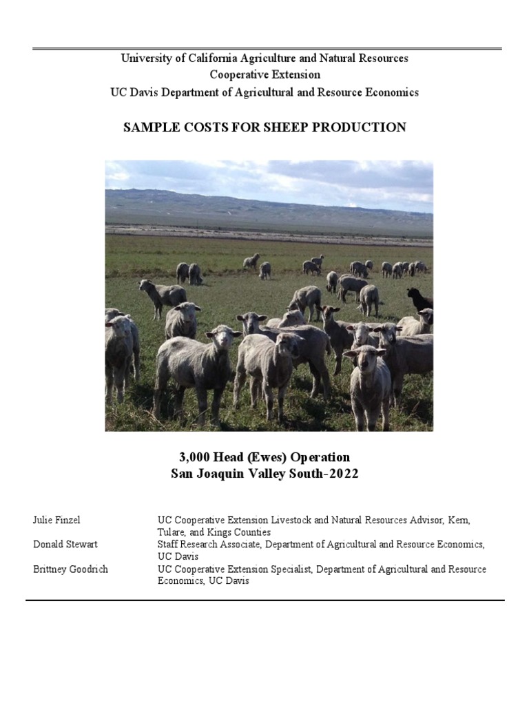 2022 Sheep Productions JV South | PDF | Sheep | Depreciation