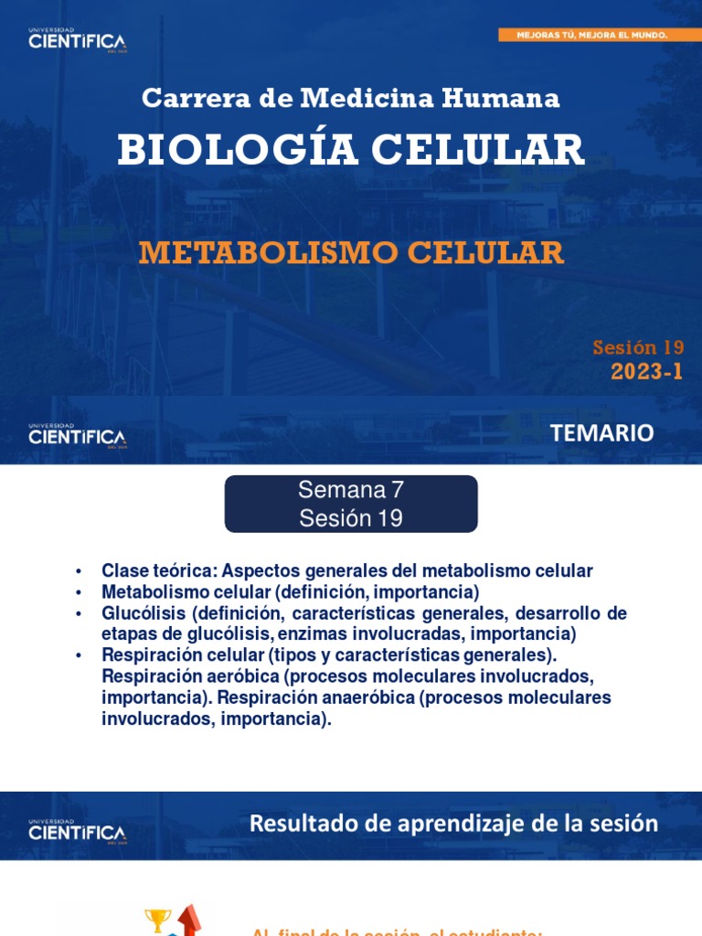 Biología Celular - Metabolismo Celular-7-16 | PDF | Respiración celular ...