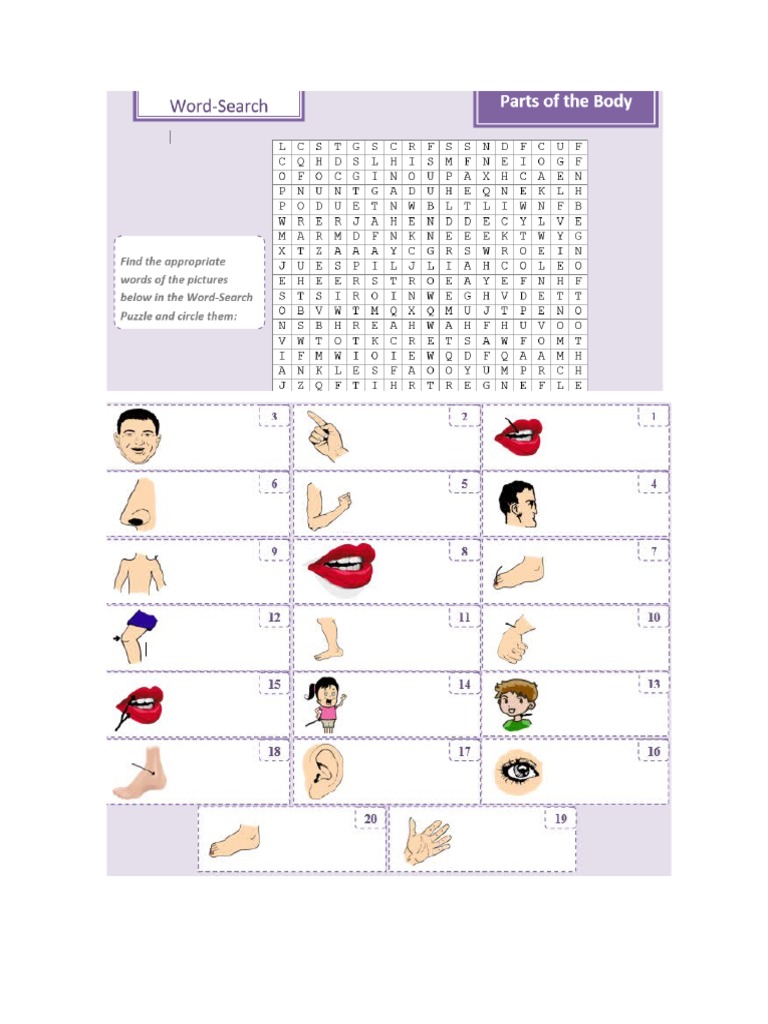 Body Parts | PDF