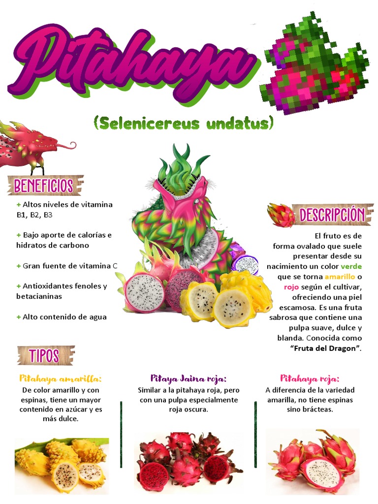 Características y beneficios de la pitahaya | PDF
