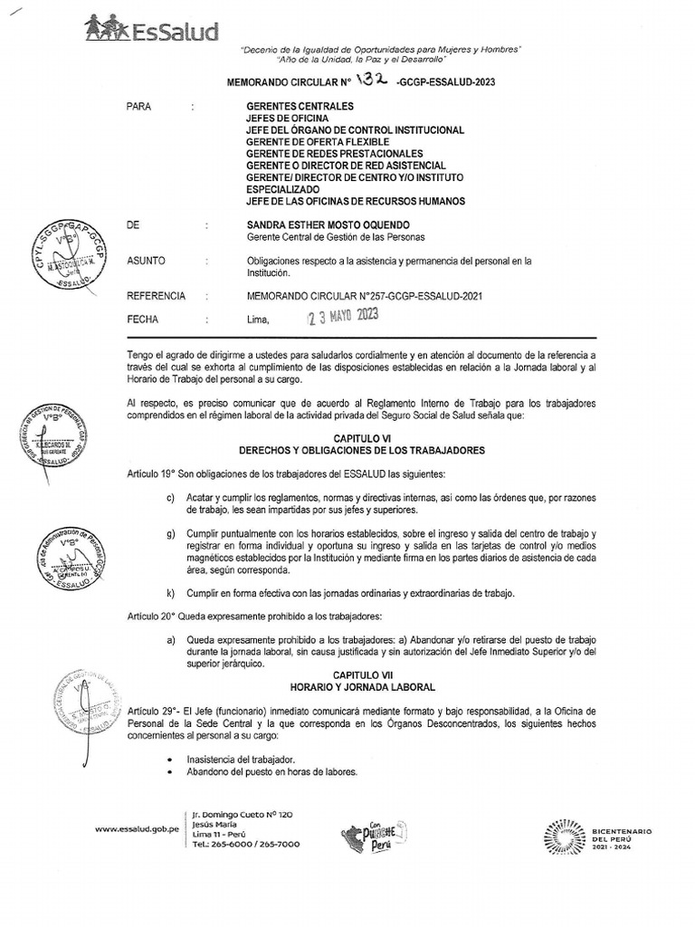 Memorando Circular #132-Gcgp-Essalud-2023 | PDF