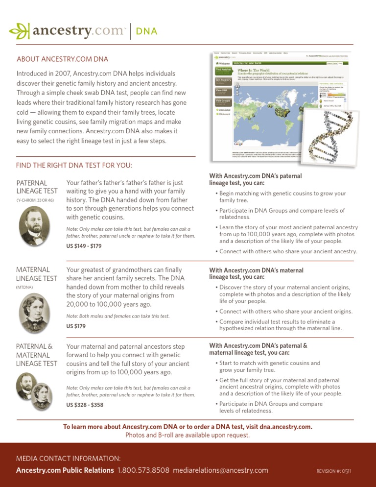DNA Fact Sheet | PDF | Genealogy | Evolutionary Biology