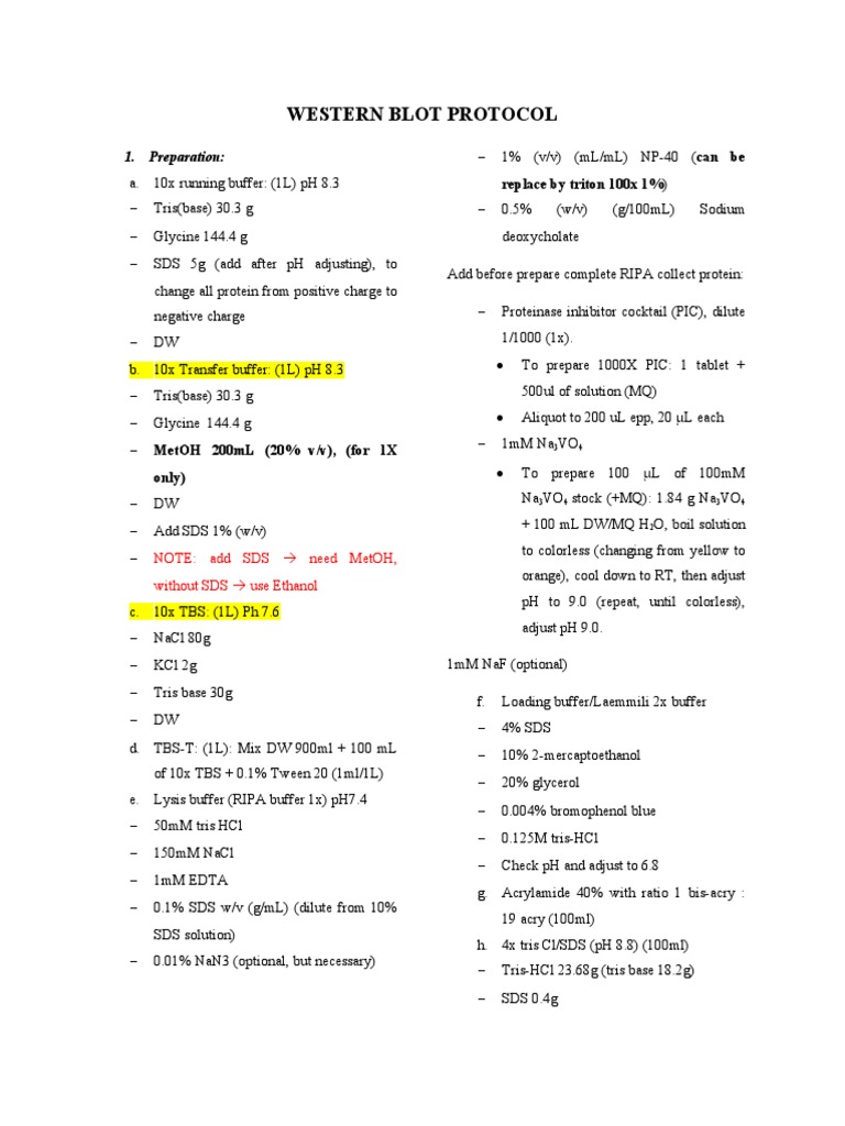 Western Blot Protocol | PDF | Gel Electrophoresis | Chemistry