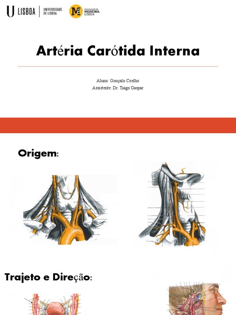 Artéria Carótida Interna - Apresentação | PDF