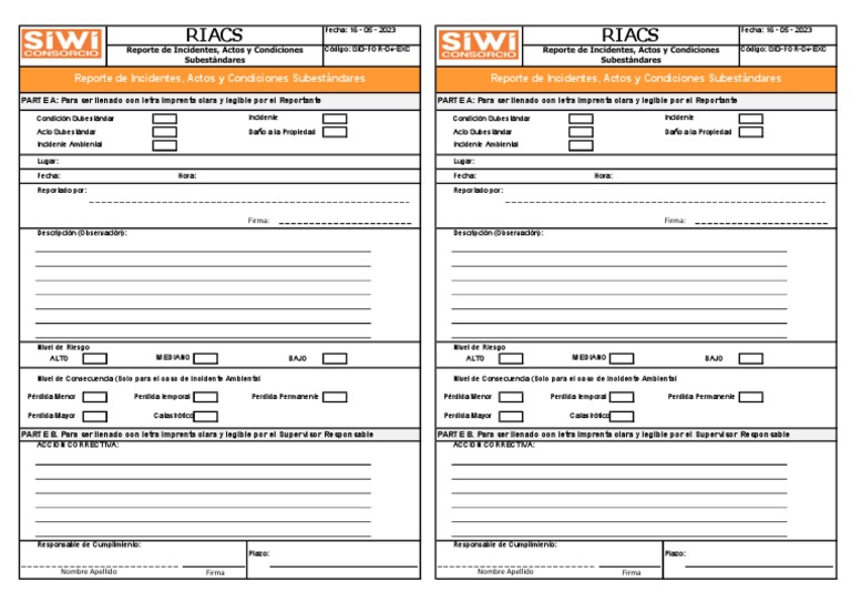Reporte RIACS PDF | PDF