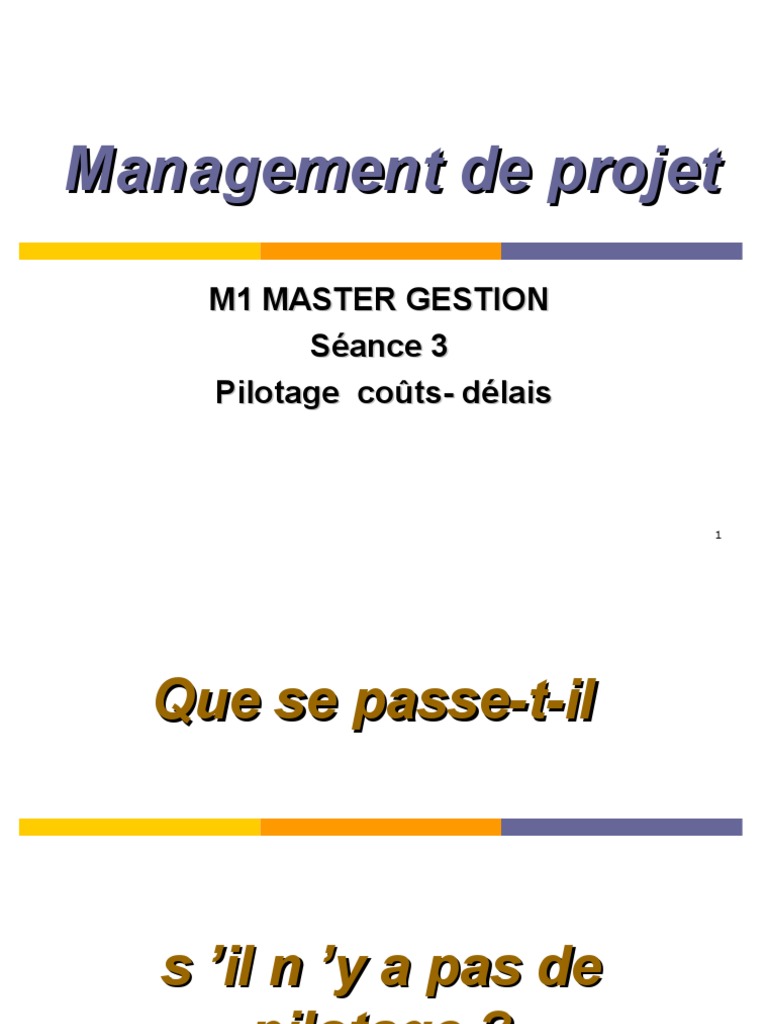 Pilotage | PDF | Gestion de projet