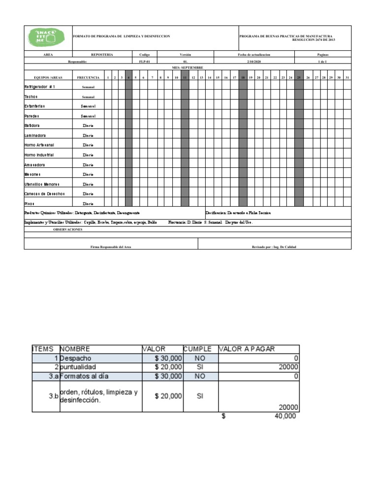 Formato de Limpieza de Areas | PDF