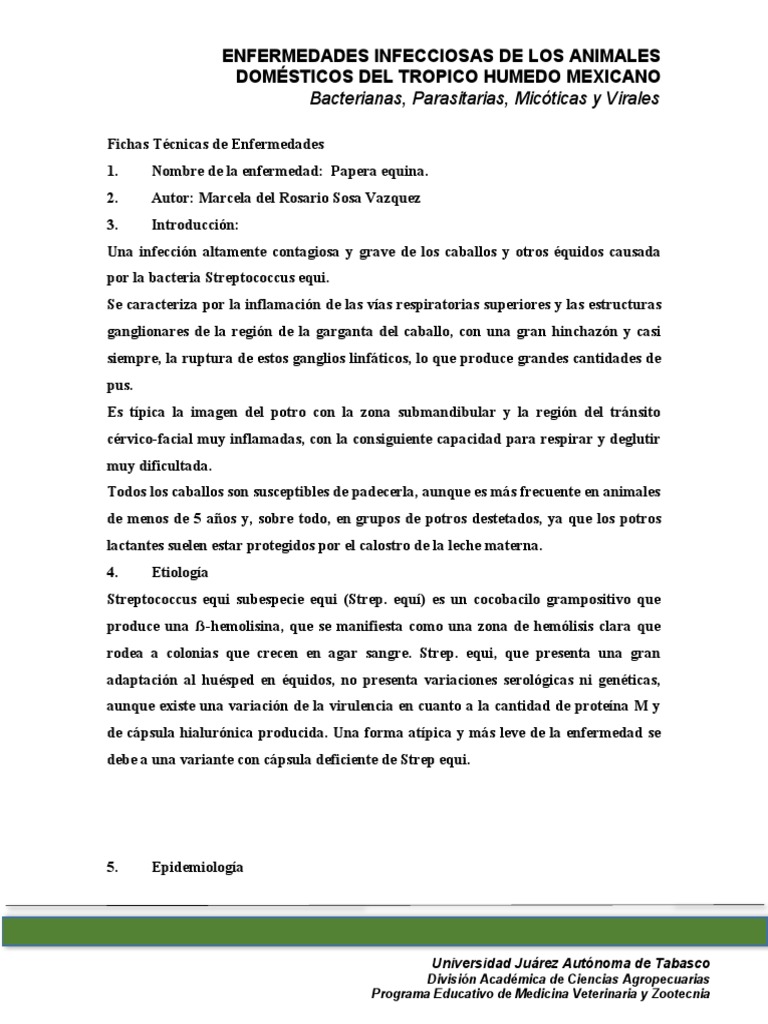 Fichas Técnicas de Enfermedades Papera S.equi | PDF | Infección ...