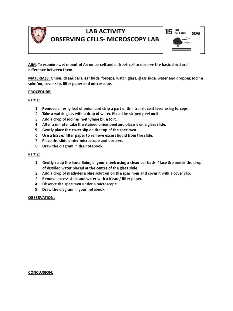 LAB ACTIVITY Grade 8-Cell | PDF