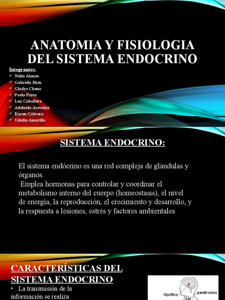 Anatomia y Fisiologia Del Sistema Endocrino | Descargar gratis PDF | Hormona estimulante de la ...